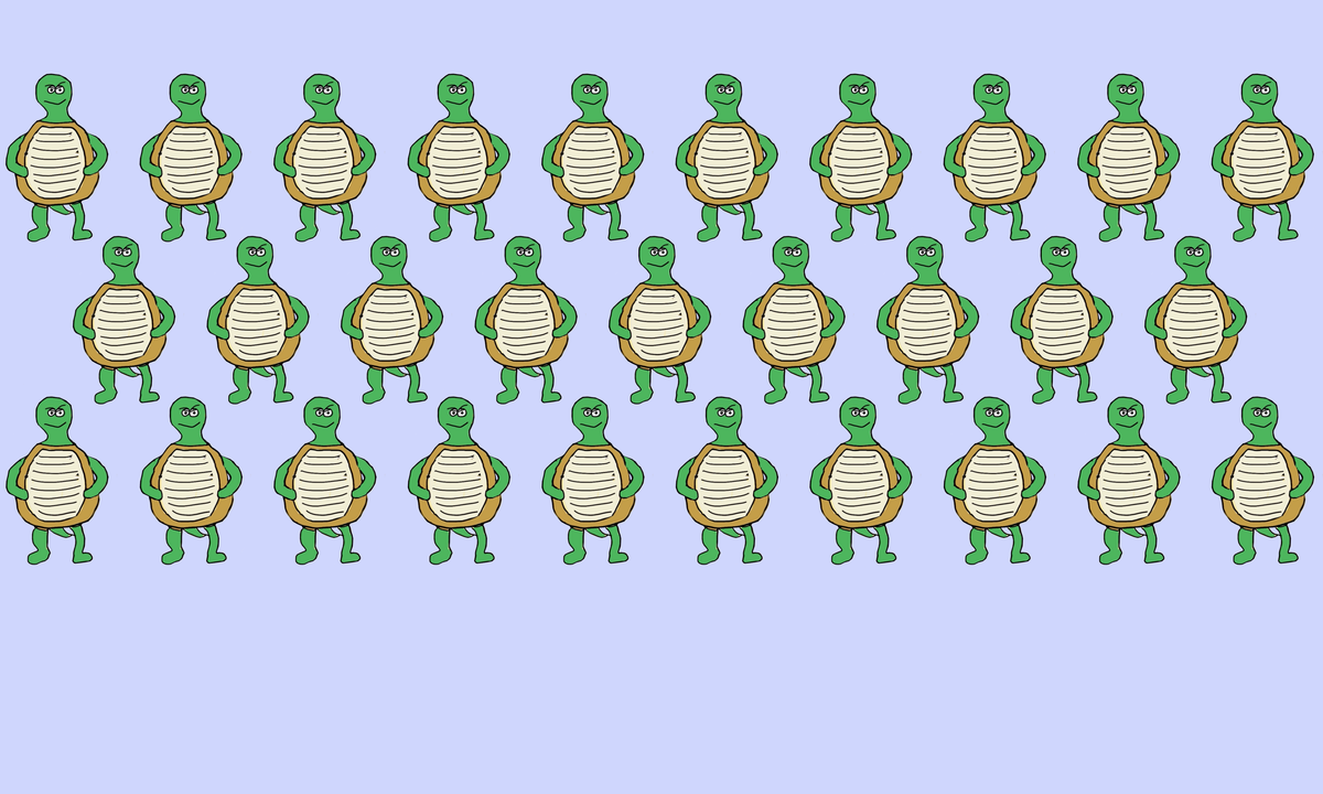 Turtles – Sock Puppet Master, Inc